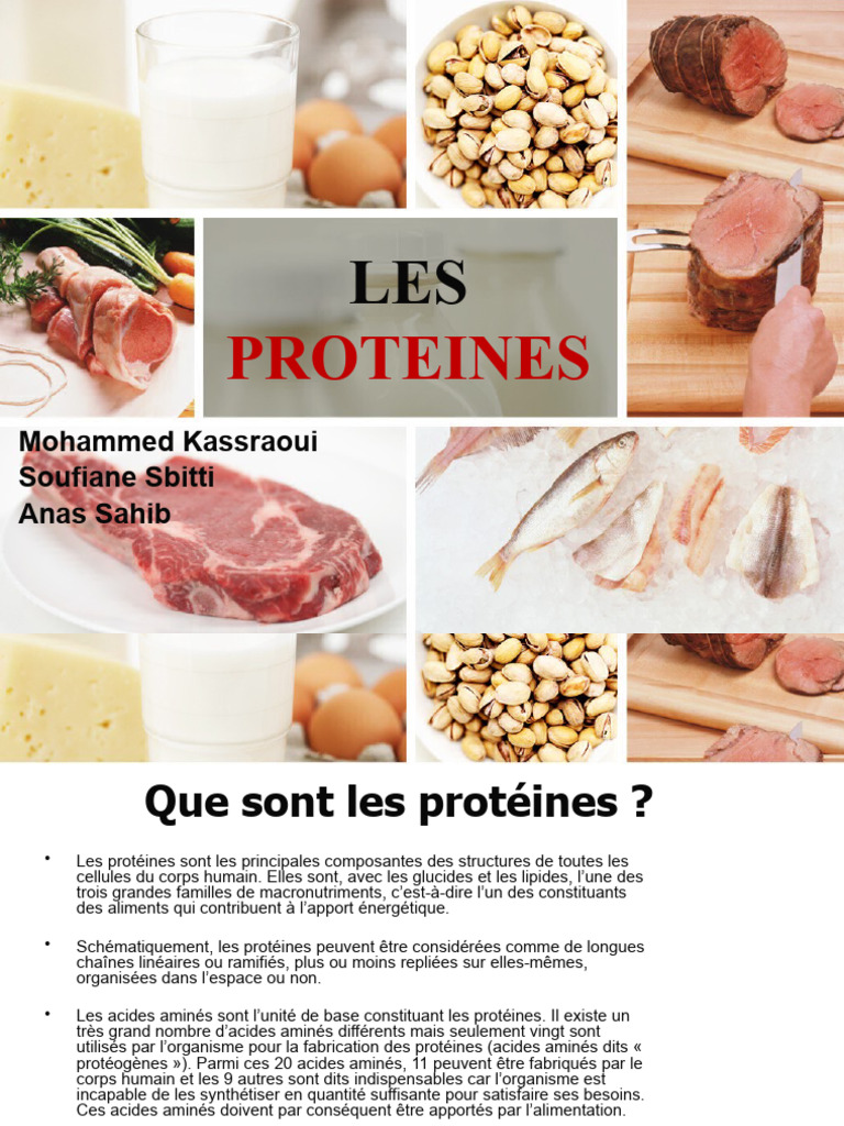 Guide Complet sur les Protéines | PDF | Bien-être