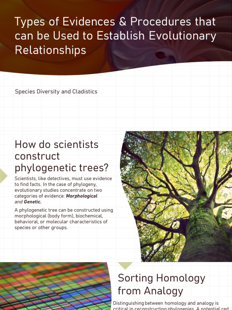 Types of Evidence and Procedures that can be used to Establish ...