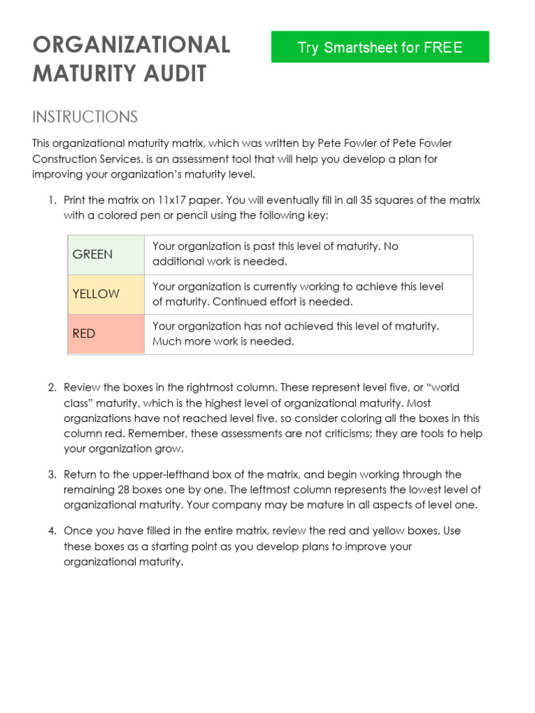 IC Organizational Maturity Audit 11460 - PDF | PDF | Business