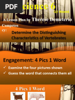 Activity Sheets Vertebrates | PDF | Invertebrate | Blood