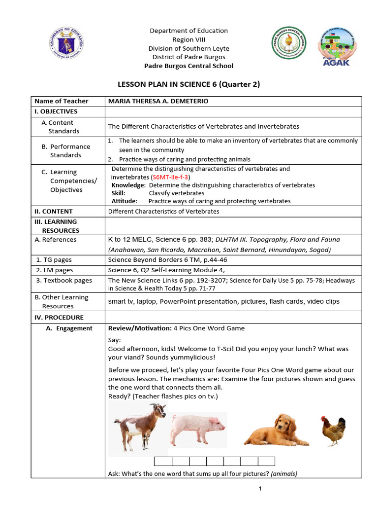 Science 6 Vertebrates Lesson Plan | PDF | Amphibian | Reptile