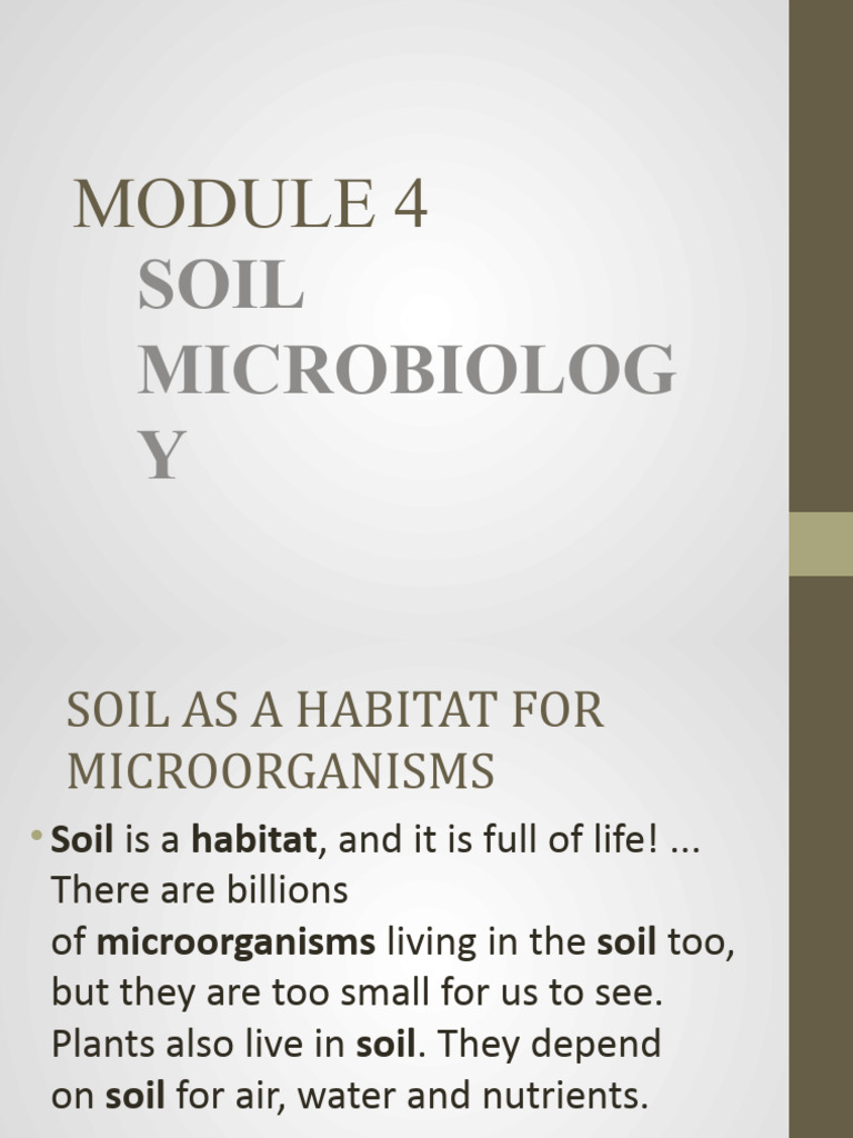 5212 67 131 MODULE 4 Soil Microbiology Introduction | PDF | Soil ...