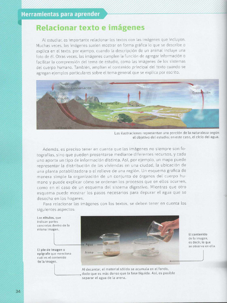 SM - Ciencias Naturales 7 Serie Savia-36-38 | PDF