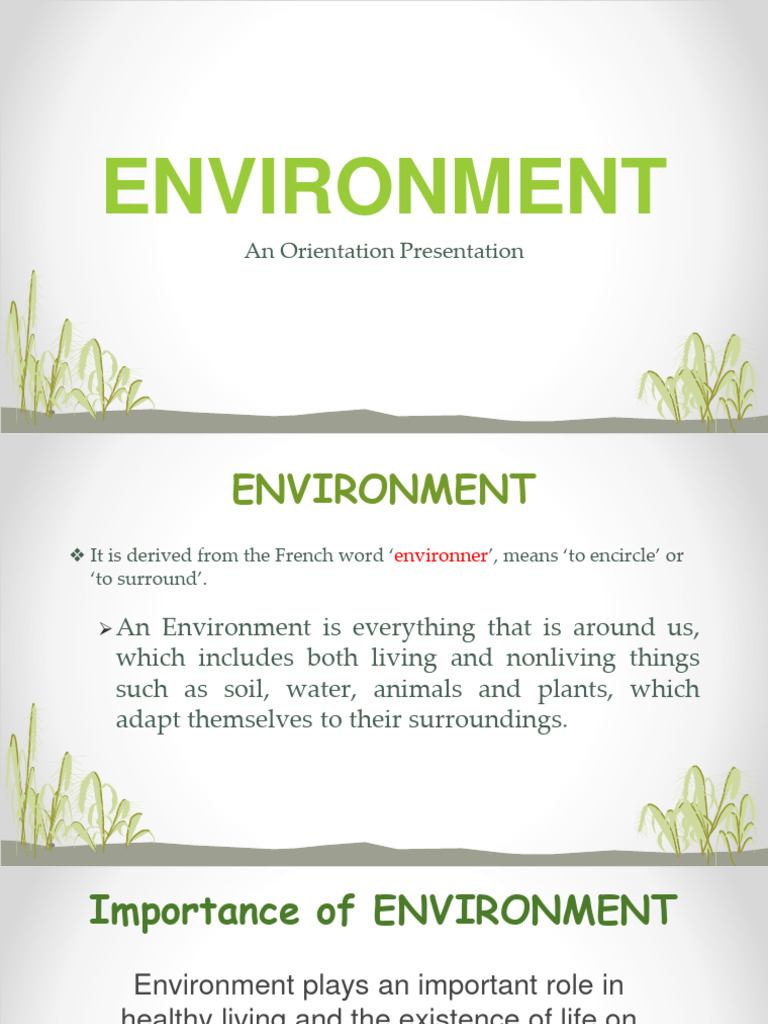 ENVIRONMENT Orientation CWTS 3 | PDF | Natural Environment | Recycling
