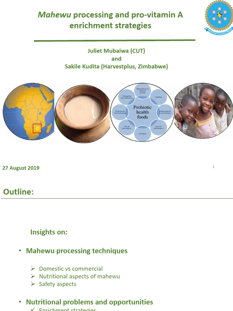 Mahewu Processing and Nutritional Benefits | PDF
