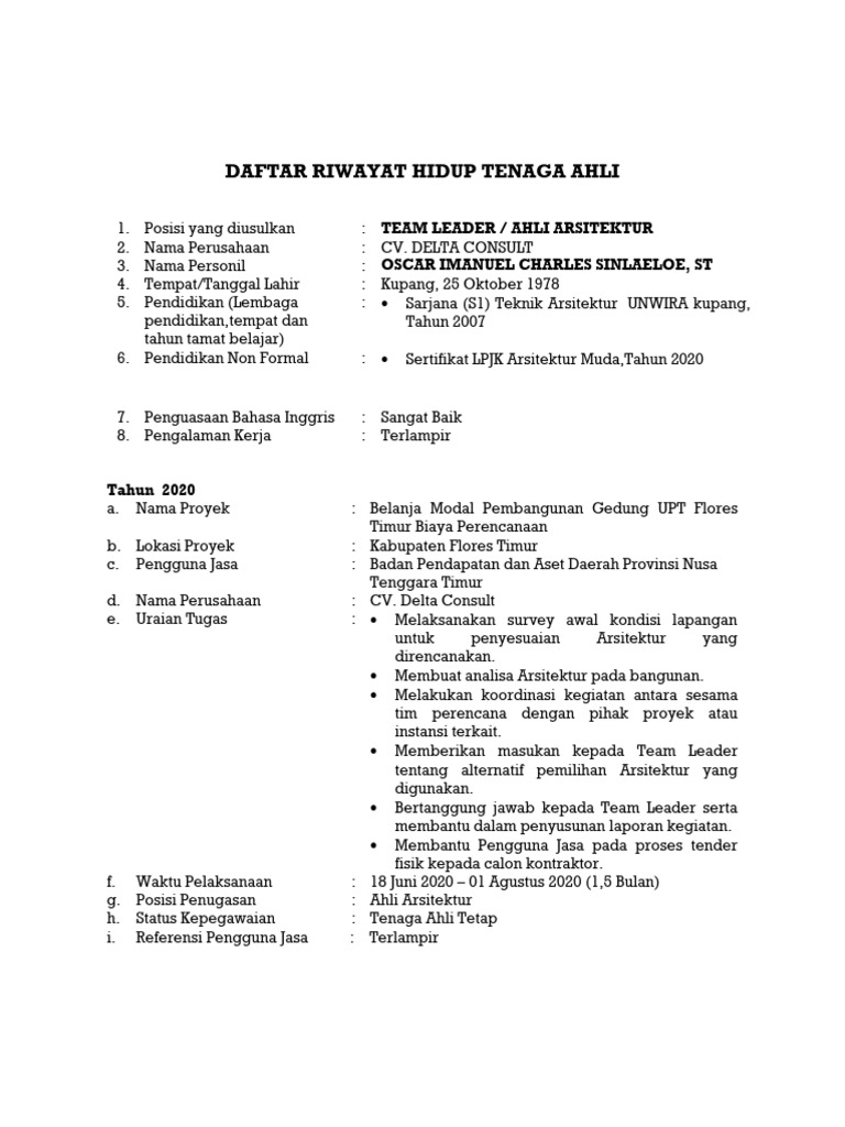 2 CV. Team Liader | PDF