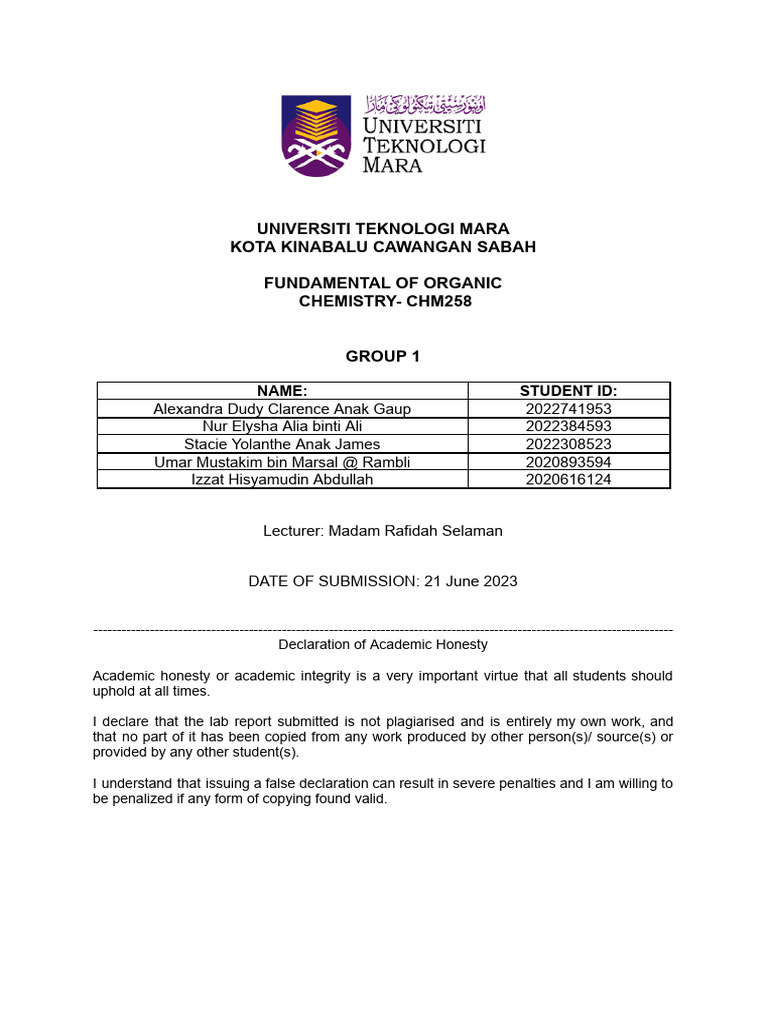 CHM258 Lab Report Exp 4 (Group 1) | PDF