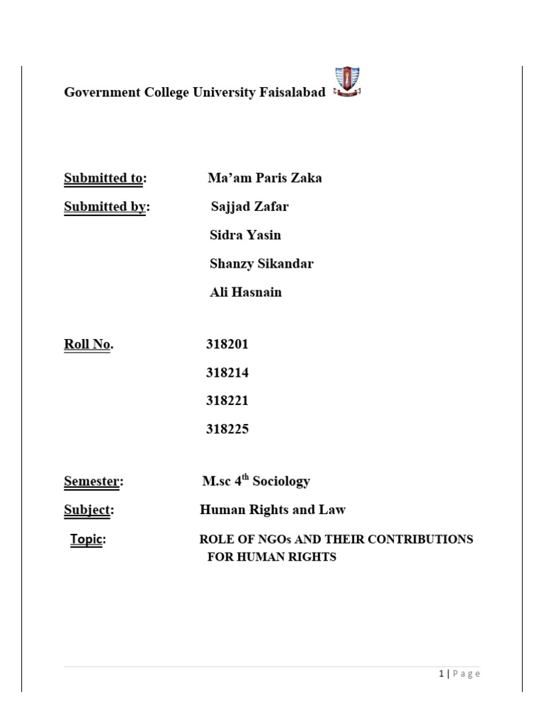 Role of NGOs and Their Contributions For Human Rights | PDF | Médecins ...