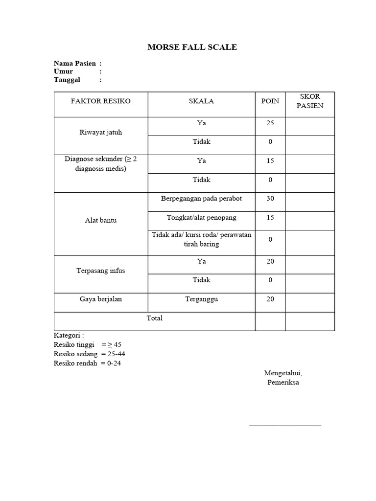 Morse Fall Scale | PDF