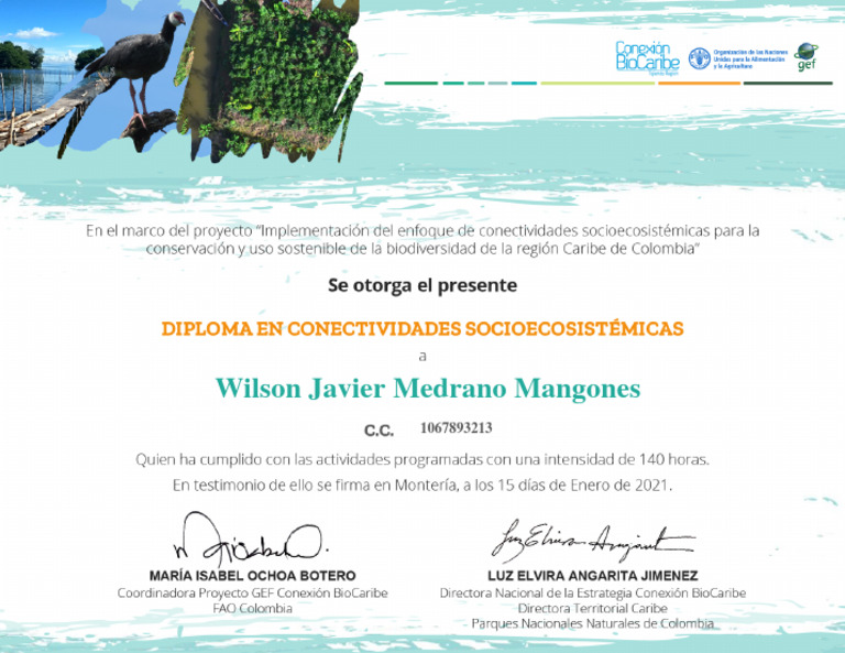 Certificado_FAO (1) | PDF