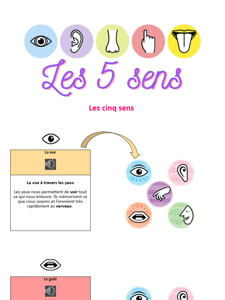 Les cinq sens expliqués aux enfants | PDF | Arts du langage et ...