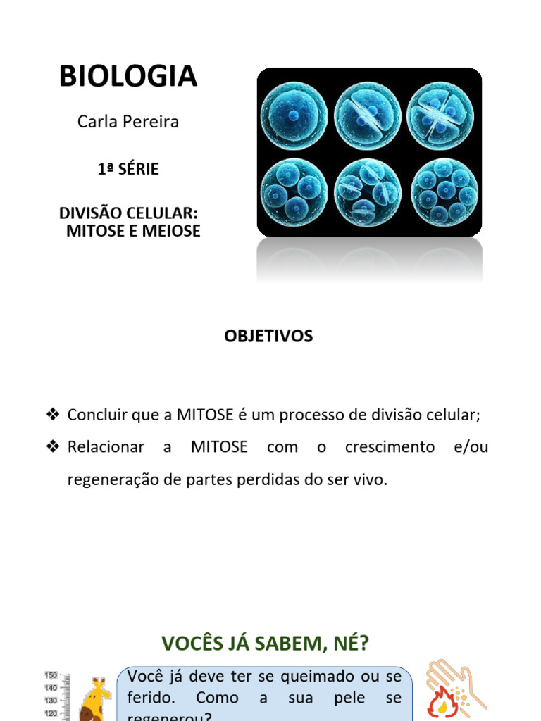Divisão Celular Mitose E Meiose Pdf Pdf Mitose Meiose