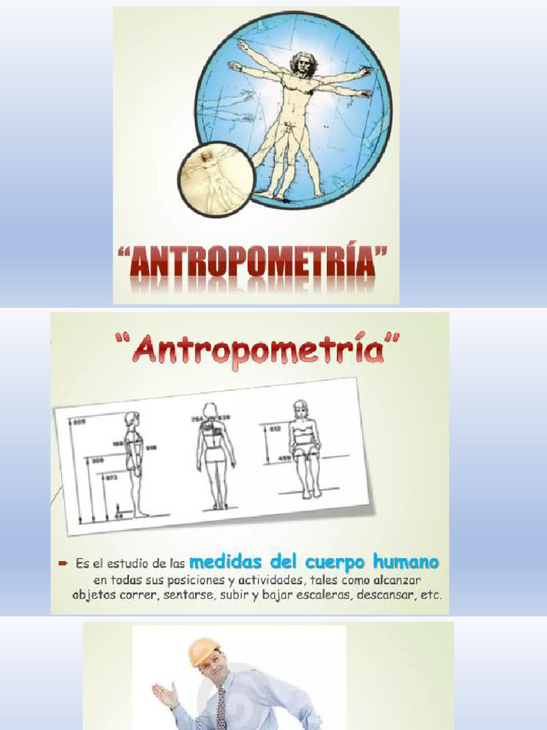 Percentiles Antropometria | PDF