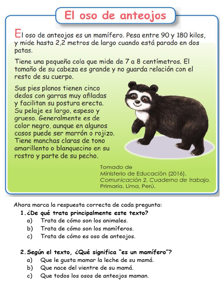 Ficha Leemos Descripcion de Un Animal | PDF | Osos | Organismos