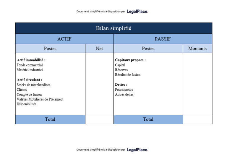 Bilan Comptable Simplifié Vierge | PDF