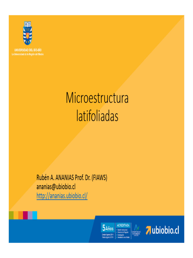 Capitulo 4 Micro-Latifoliadas | PDF