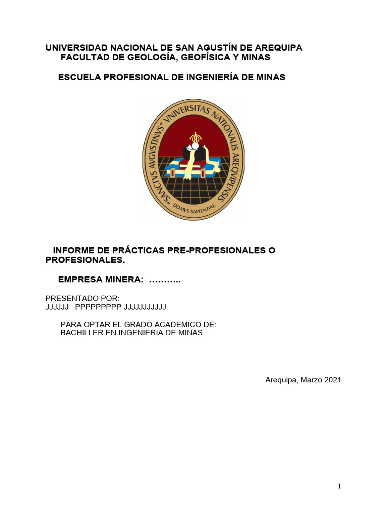 Estructura de Informe Final Prácticas UNSA | PDF | Business