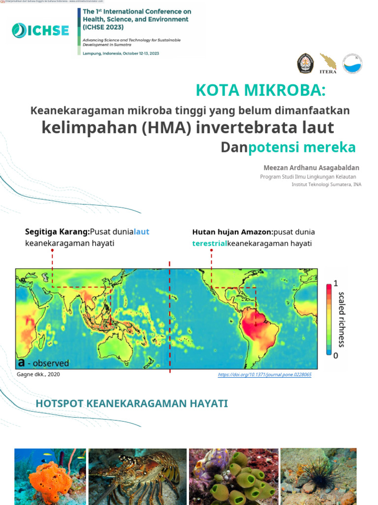 ICHSE presentation_Meezan FIx.en.id | PDF