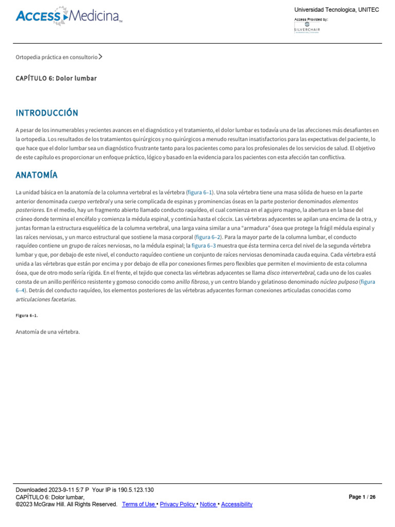 CAPÍTULO 6 - Dolor Lumbar | PDF | La columna vertebral | Cirugía