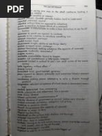 Low Frequency Words LIst | PDF