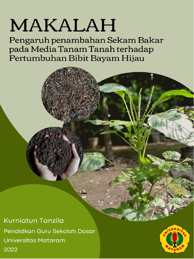 Penelitian Pengaruh Penambahan Sekam Bakar Pada Media Tanam Tanah ... Penelitian Pengaruh Penambahan Sekam Bakar Pada Media Tanam Tanah ...