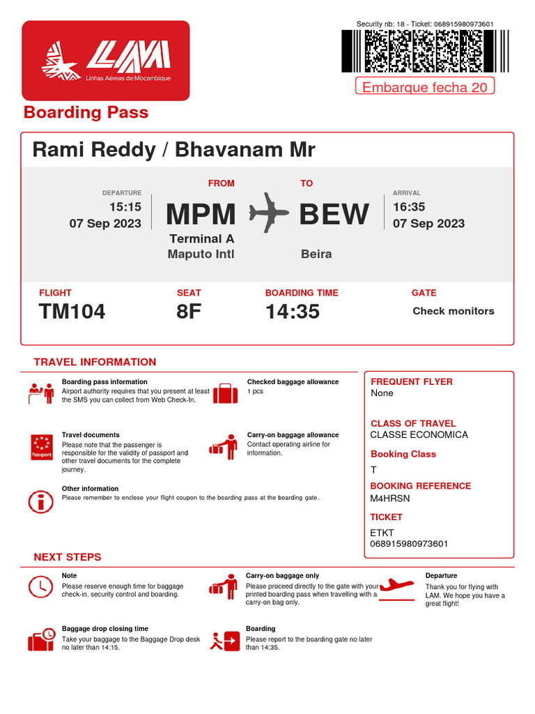 Boarding Pass | PDF