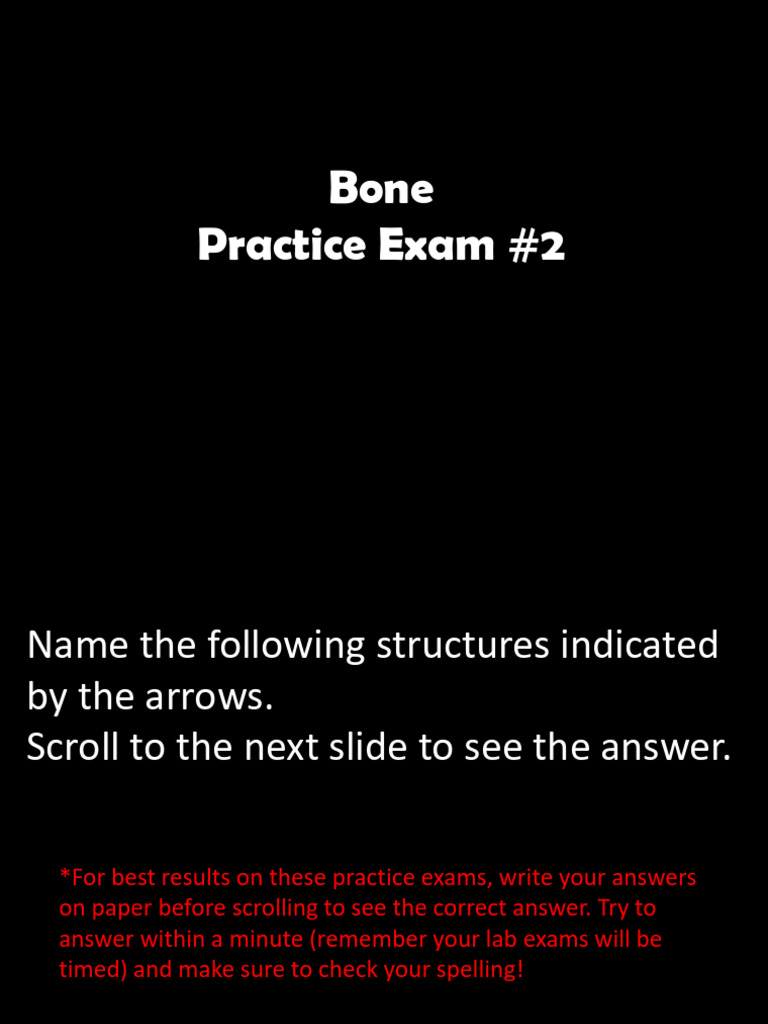 Bone Structure Practice Exam 2 | PDF