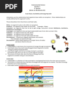 Food Webs and Chains Worksheet Guide | PDF | Food Web | Systems Ecology