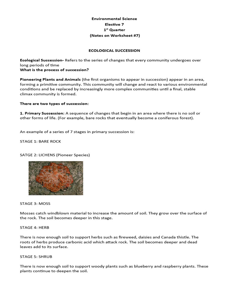 1st Q Worksheet 7 Ecological Succession | PDF
