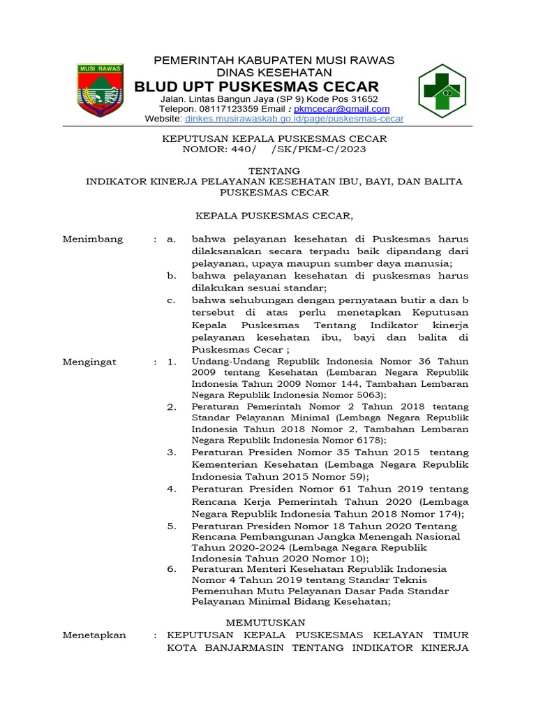 Indikator Kinerja Pelayanan Kesehatan Cecar | PDF | Kesehatan Holistik