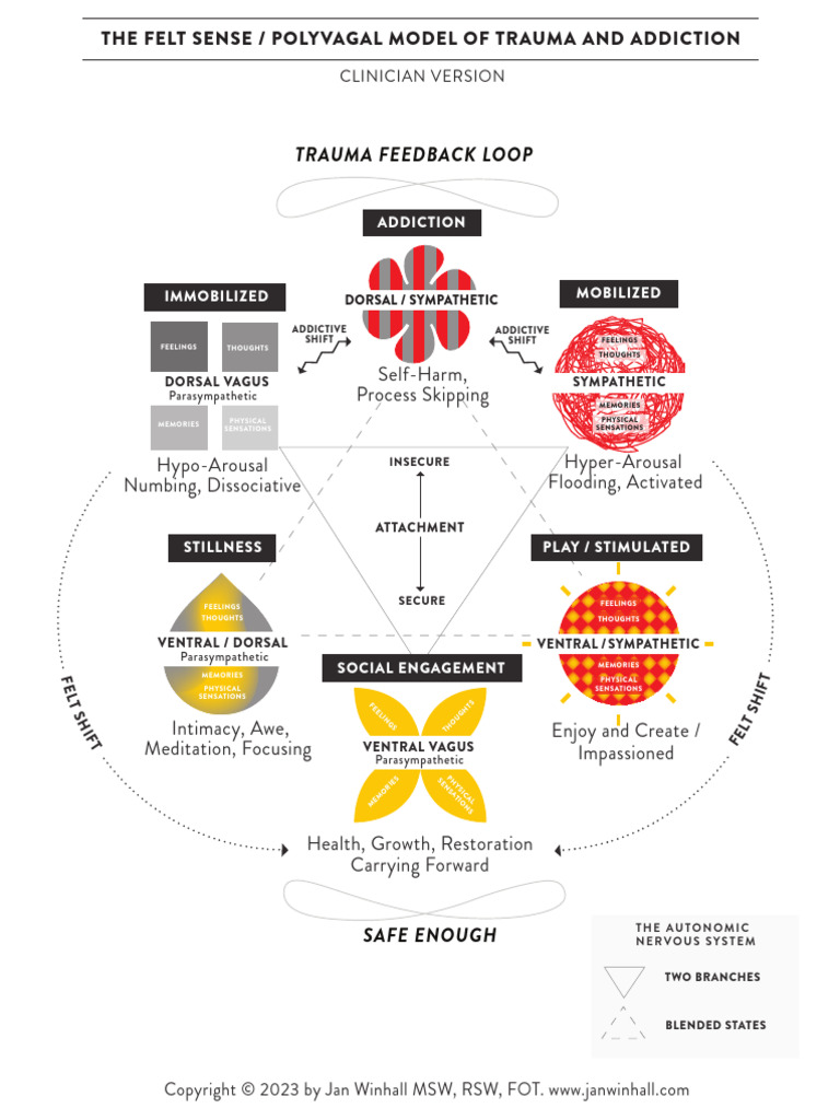 Extra Handout Clinician 6fs | PDF