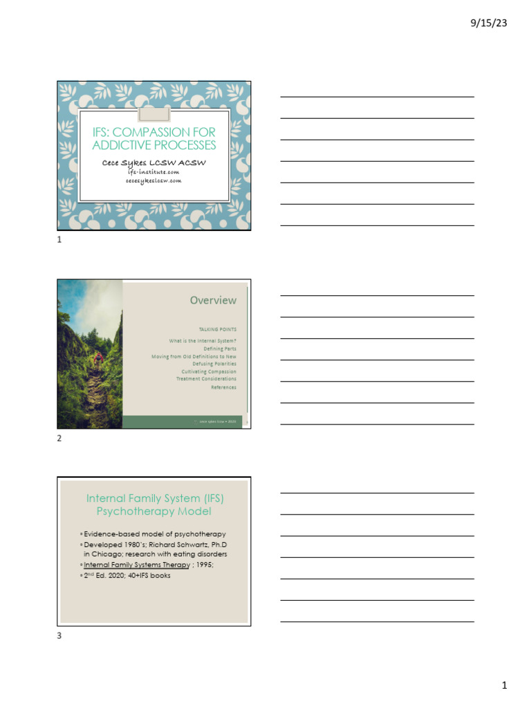 Handout Internal Family Systems Model | PDF