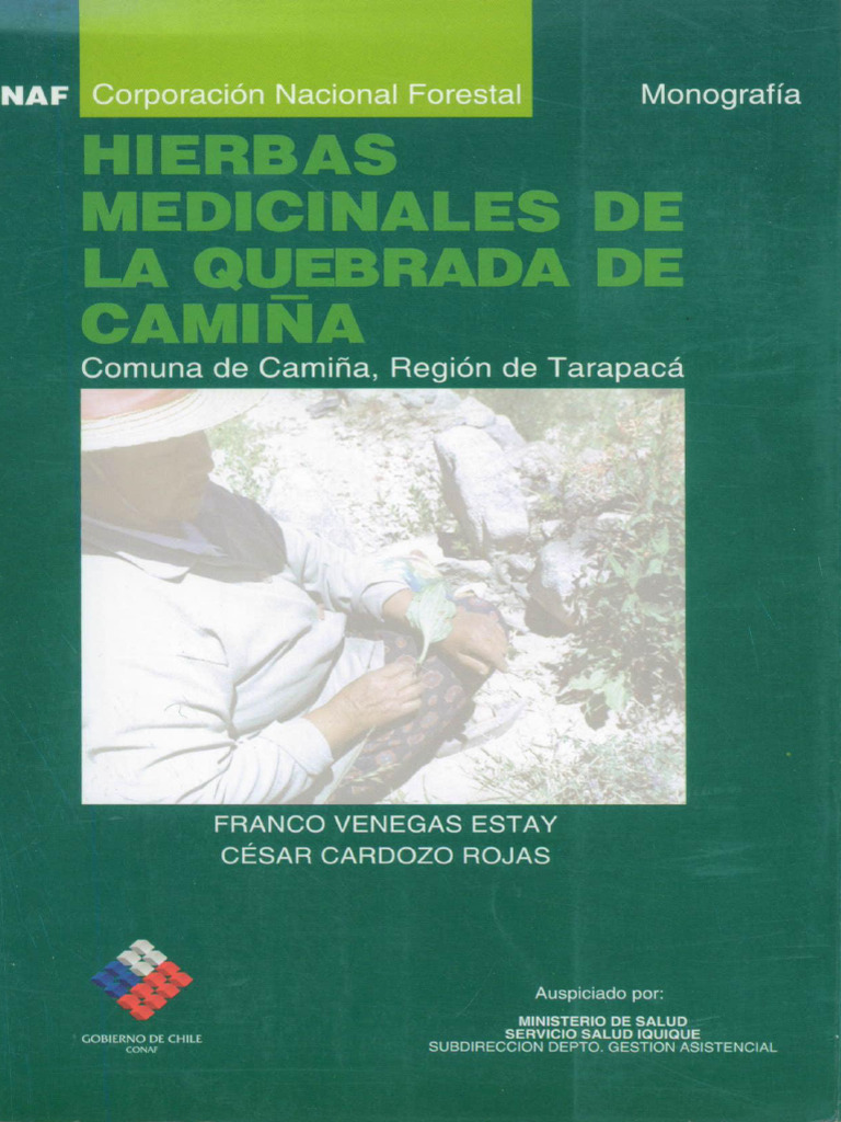 HIERBAS MEDICINALES DE LA QUEBRADA DE CAMIÑA | PDF