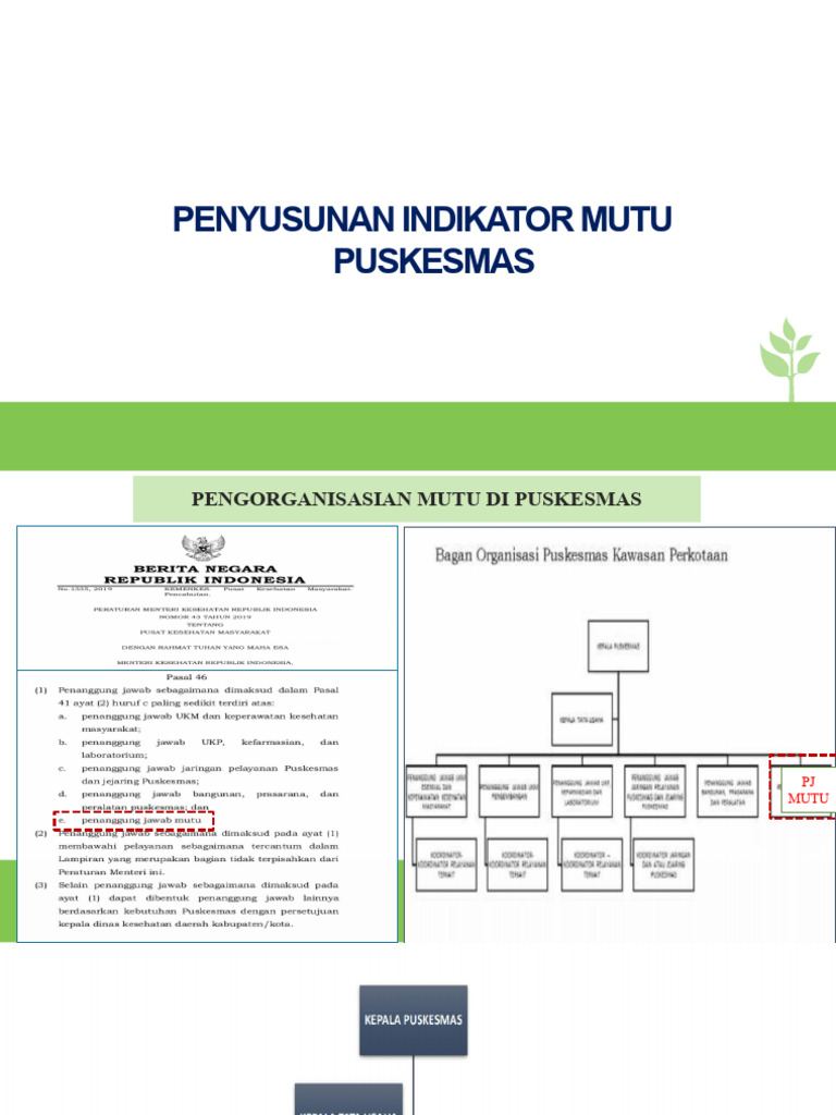 Penyusunan Indikator Mutu Puskesmas | PDF | Bisnis