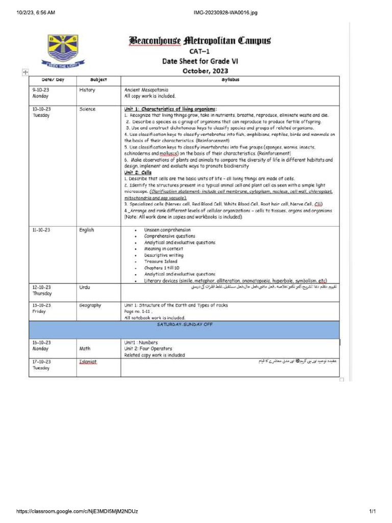Term 1 1st CAT Syllabus | PDF