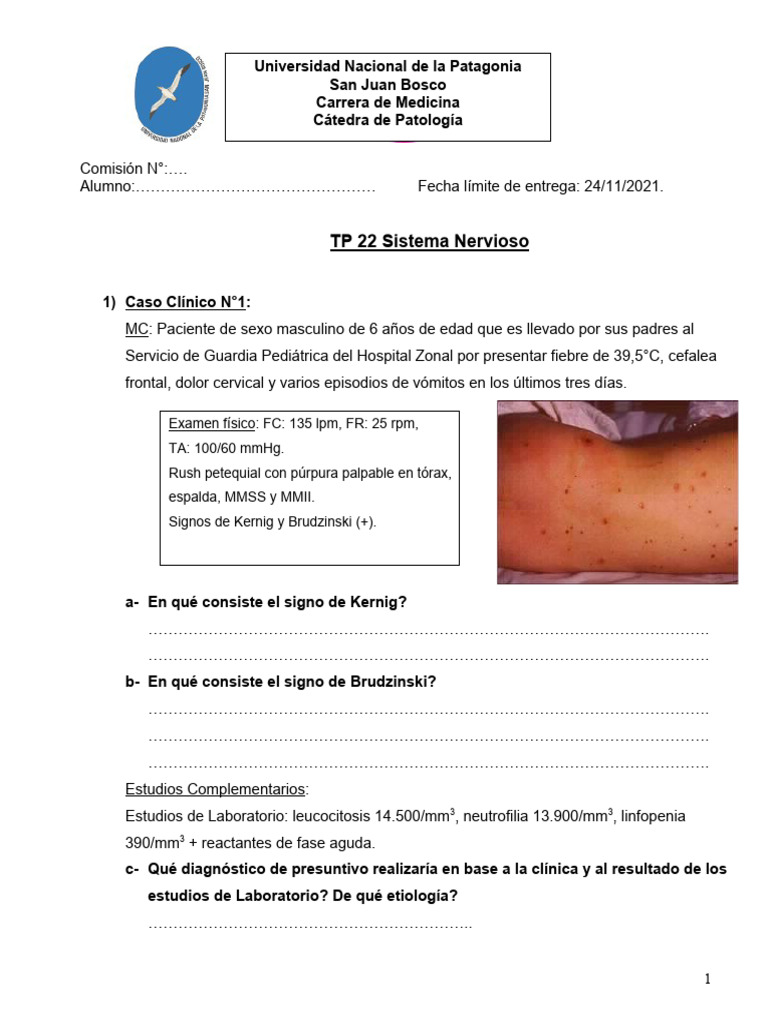 TP 22 - Sistema Nervioso | PDF