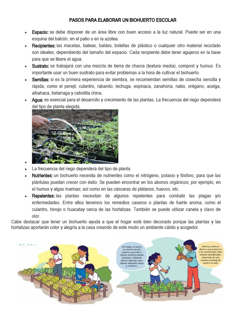 Pasos para Elaborar Un Biohuerto Escolar | PDF