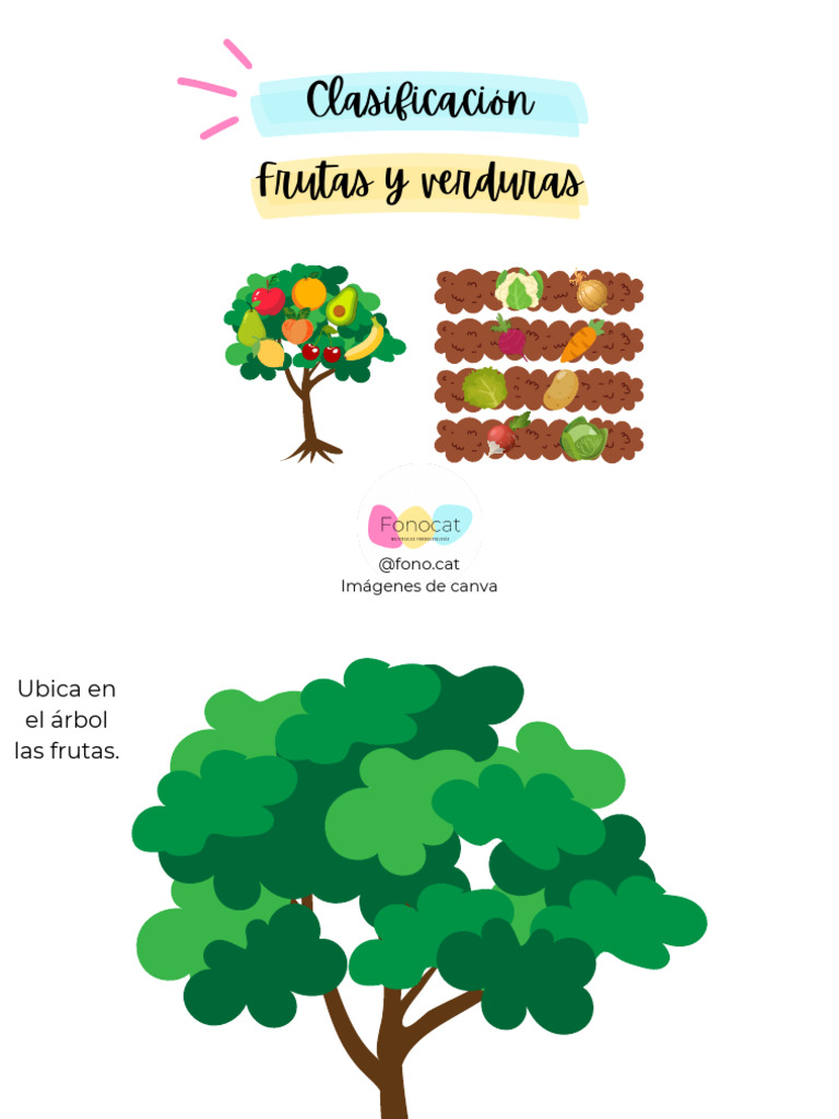 Clasificación de Frutas y Verduras para Niños | PDF | Tecnología