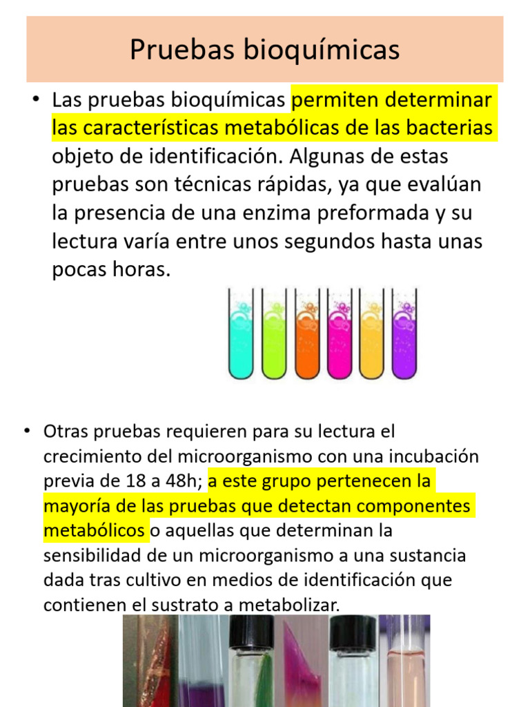 Pruebas Bioquimicas | PDF | Fermentación | Microbiología