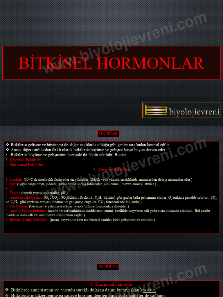 3 Bitkisel Hormonlar Boyutlandirildi | PDF