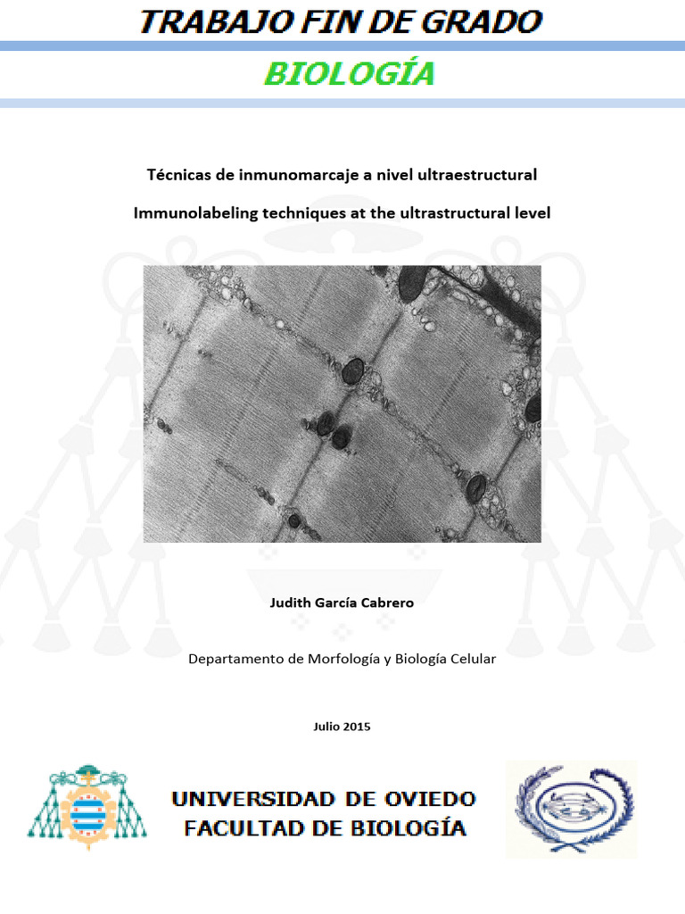 TFG JudithGarciaCabrero | PDF | Tecnología