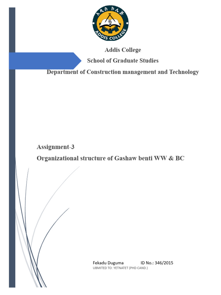 Fekadu Assigenment | PDF