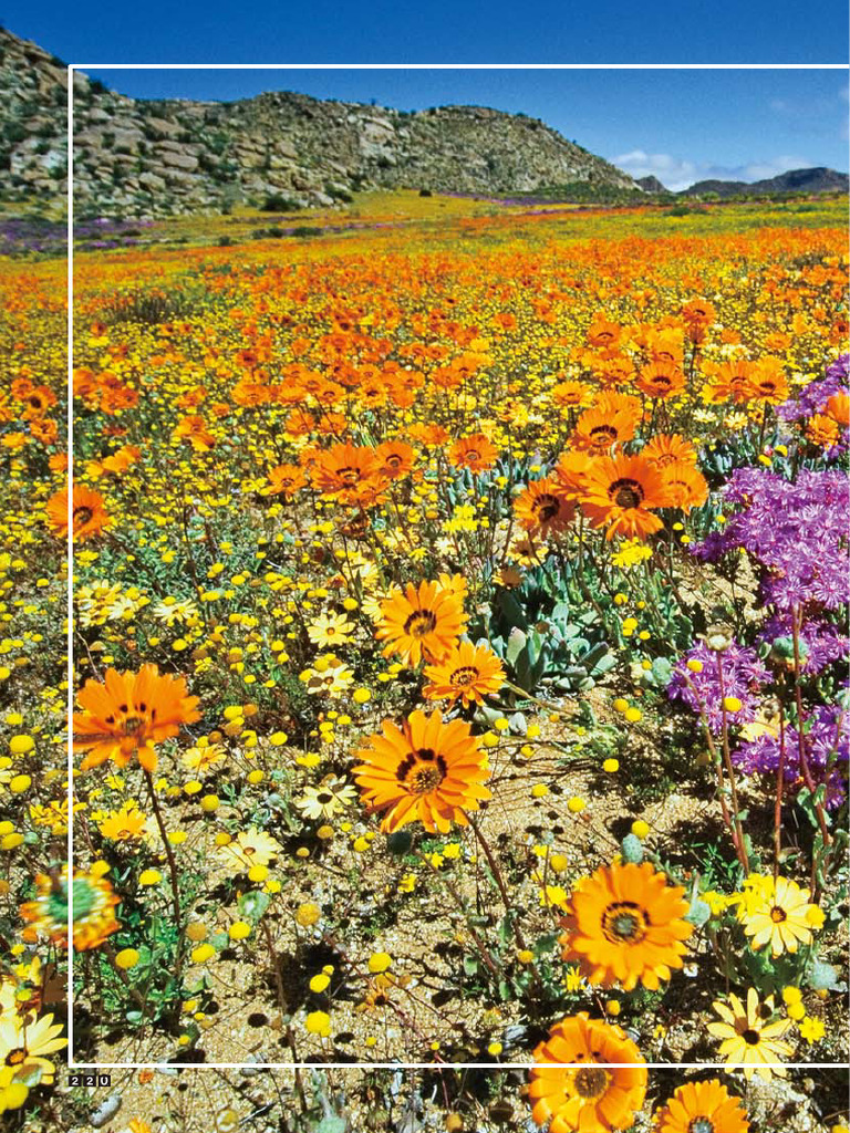 Succulent Karoo Biome Pdf Desert Earth Sciences