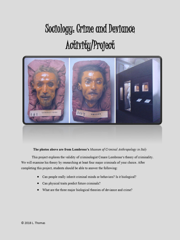 Sociology: Crime and Deviance Activity/Project | PDF