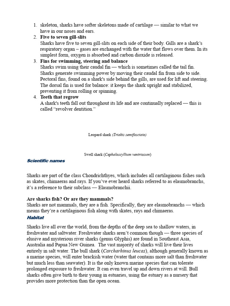 Sharks | PDF | Home & Garden