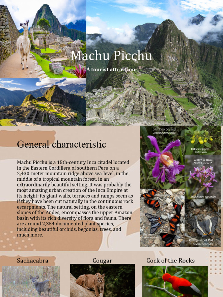 Machu Picchu | PDF