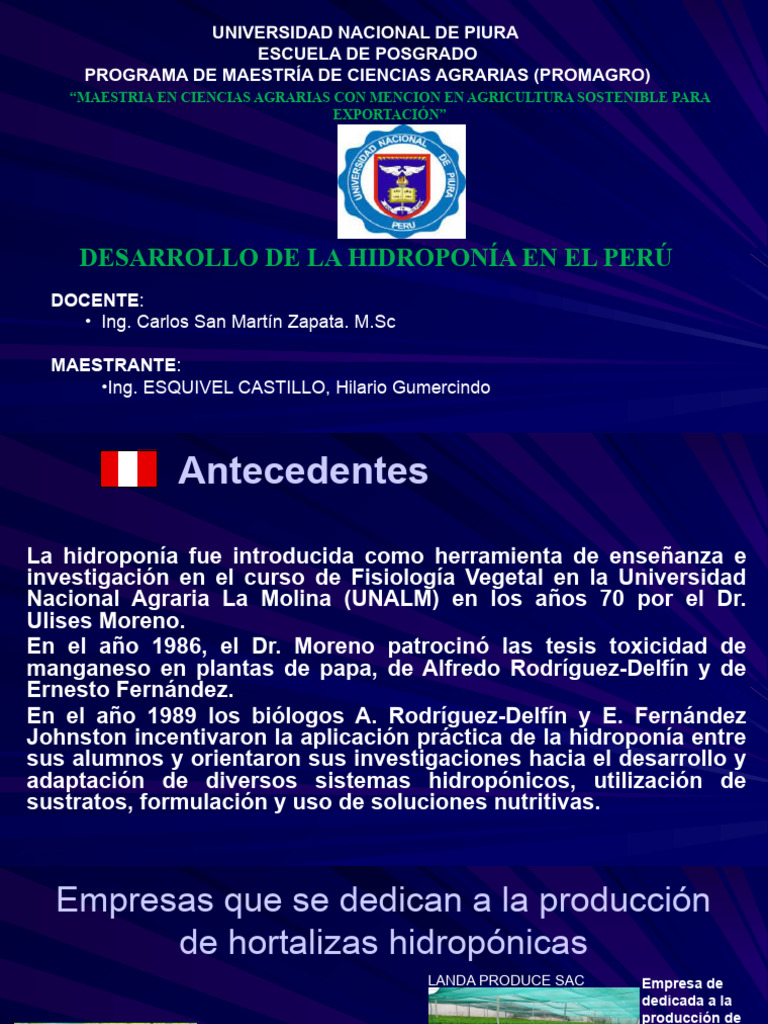Desarrollo de La Hidroponia en El Perú | PDF Desarrollo de La Hidroponia en El Perú | PDF