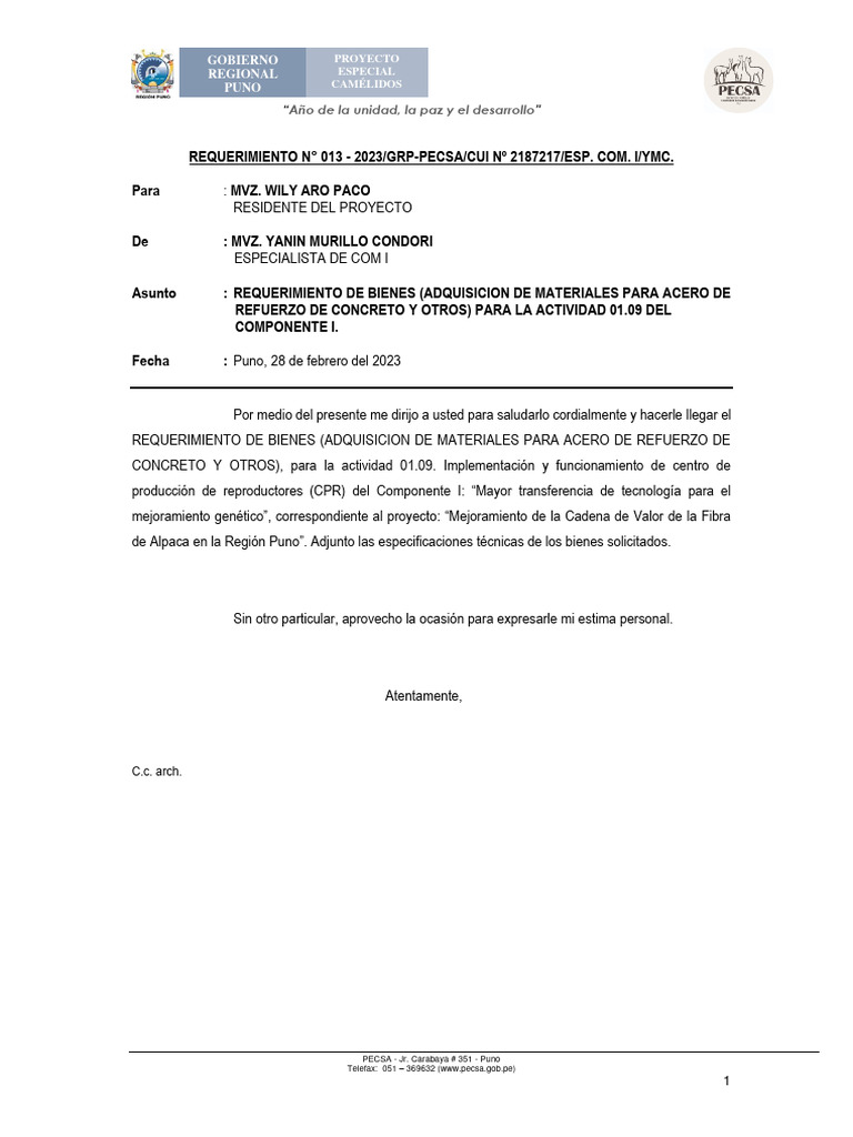 Requerimiento N VVVVV | PDF