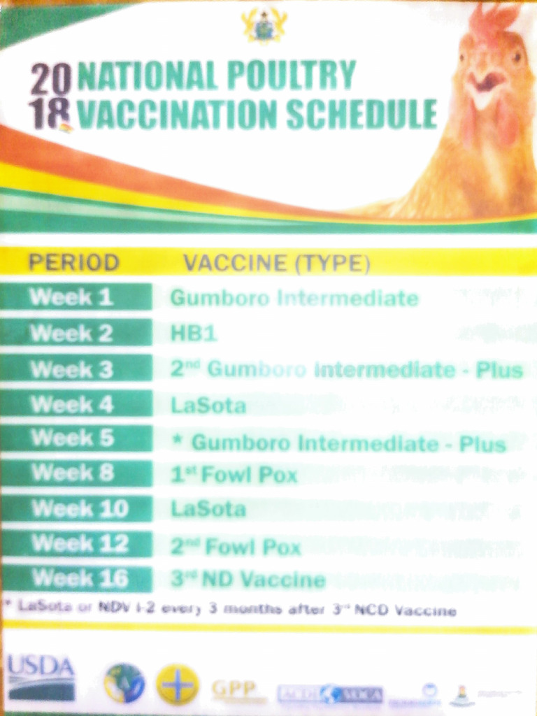 Vaccination Schedule For Poultry, 2018 | PDF