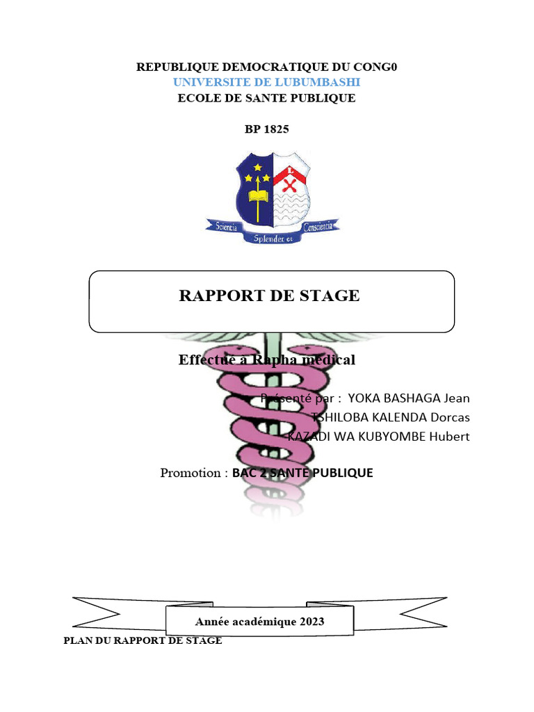 Rapport de Stage - Copie | PDF